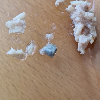 BİM Ton Balığı Şikayetleri - Şikayetvar