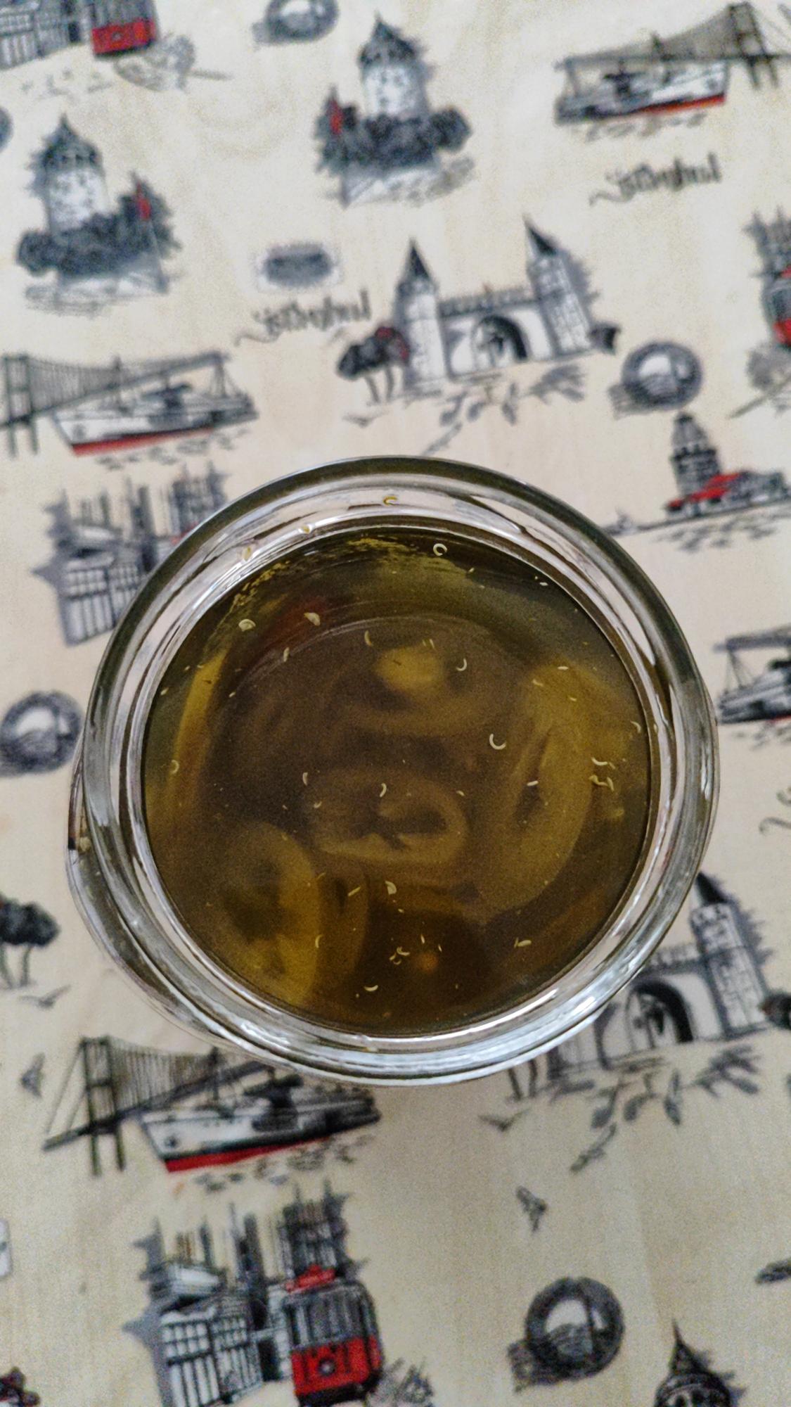 Kühne 2026 SKT Kurtlu Turşu - Şikayetvar