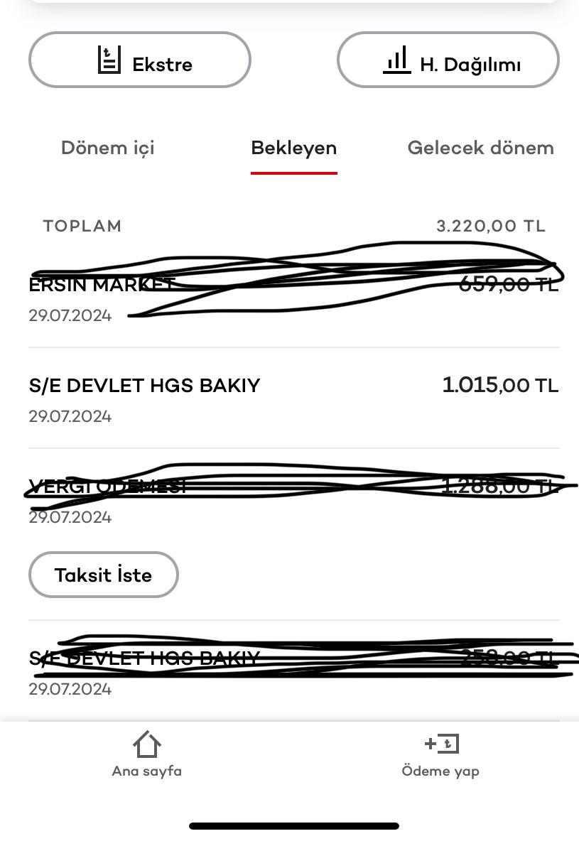 E-devlet Kanalı İle HGS Yükleme Sorunu Paramı Çekti Bakiye Yok - Şikayetvar