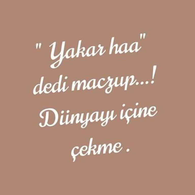 Çözüldü: Fest Danışmanlık ve Depolama Hasuba Mini Şarjlı Süpürge ...