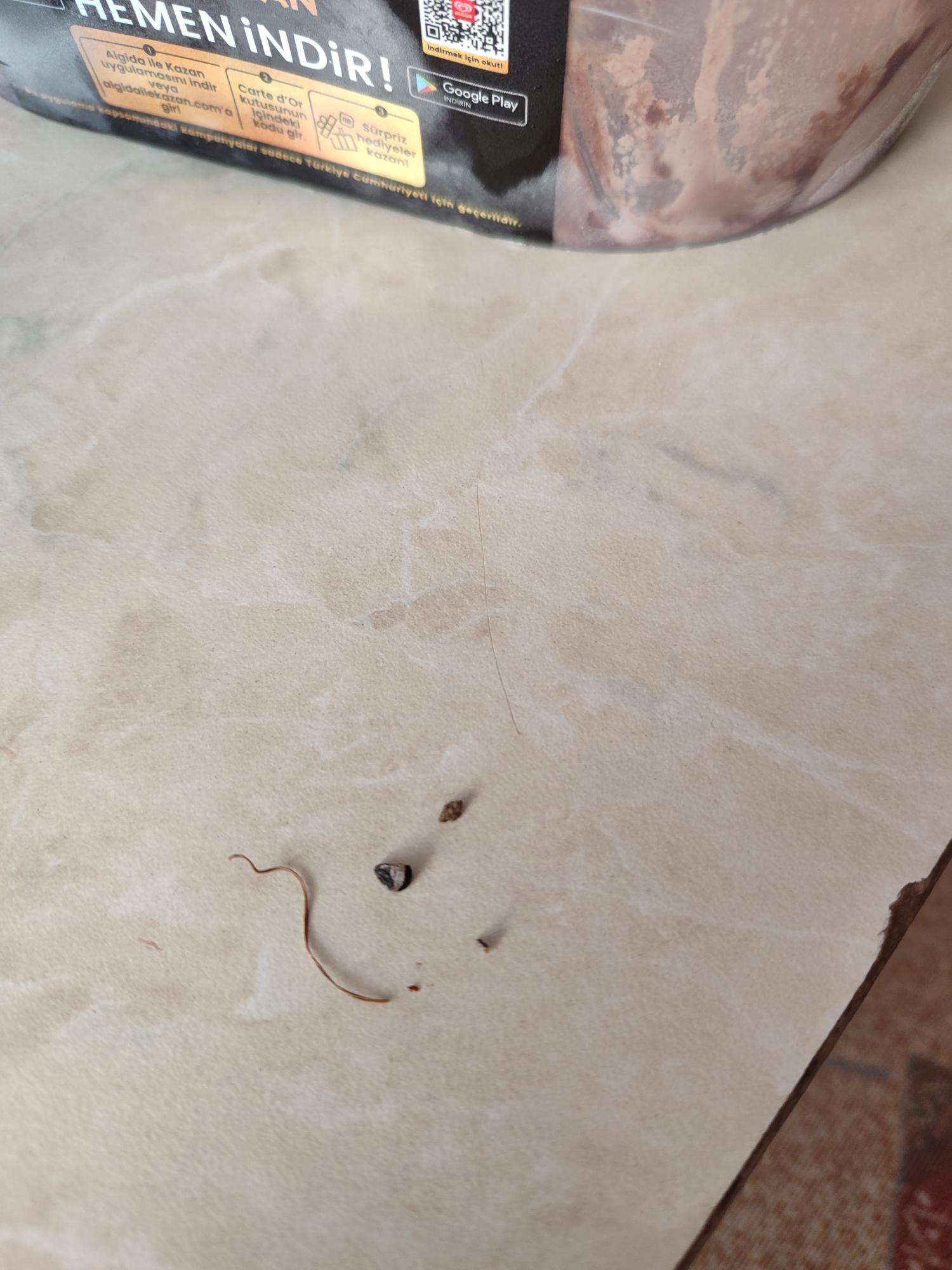 Carte d'OR Carte d'Or Ice Cream - Stones and Grass Found in Product ...