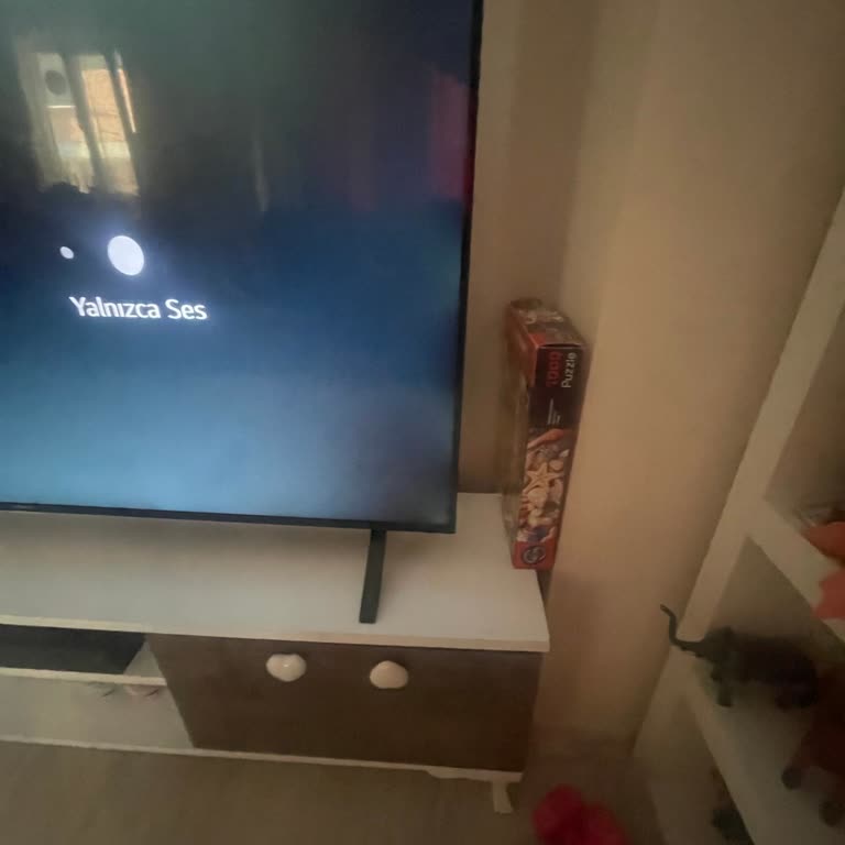 Sunny Sunny TV'nin Sorunları Bitmiyor - Şikayetvar