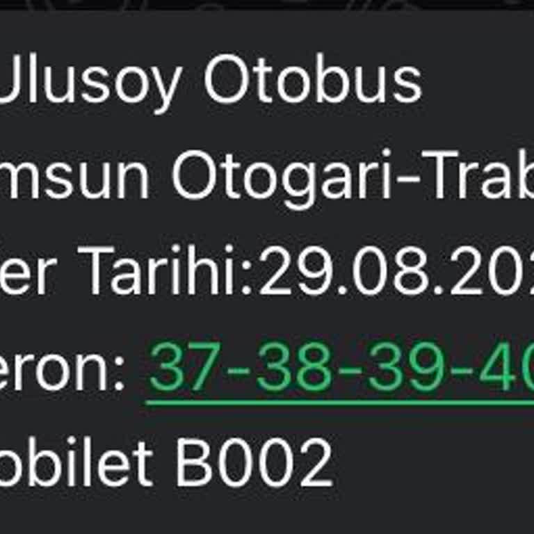Ali Osman Ulusoy Samsun-Trabzon Yolculuğunda Yaşanan Sorunlar - Şikayetvar