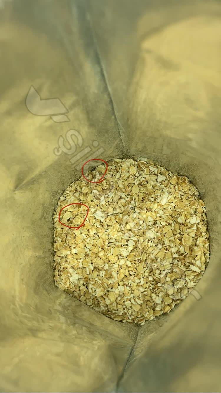 BİM Kellys Performans Yulaf Ezmesi İçinden Böcek Çıktı - Şikayetvar