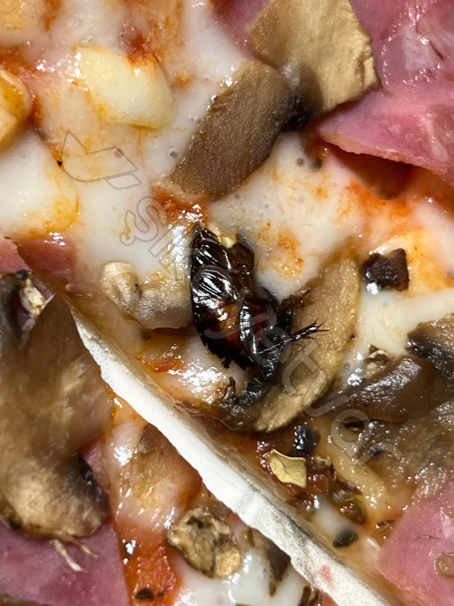 Harras Mantarlı Jambonlu Böcekli Pizza - Şikayetvar