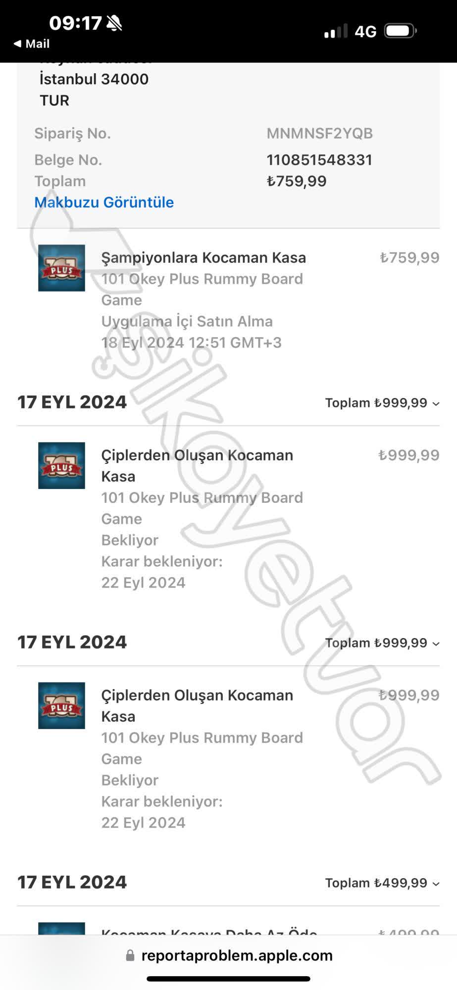 101 Okey Plus Ta Oynamadan Para İle Aldığım Çipler Sıfırlandı - Şikayetvar