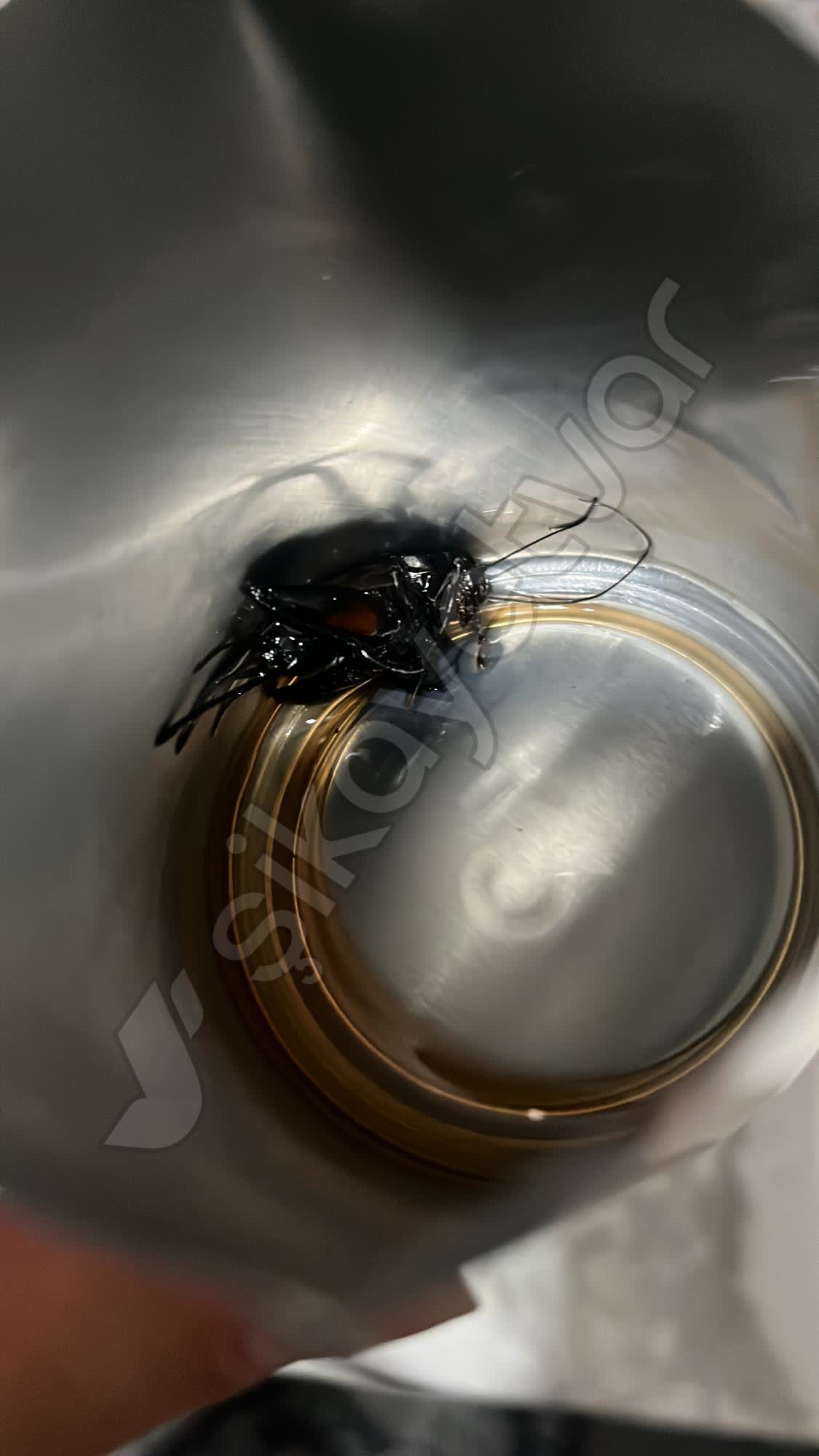 BİM Teatone İce Tea - Şikayetvar