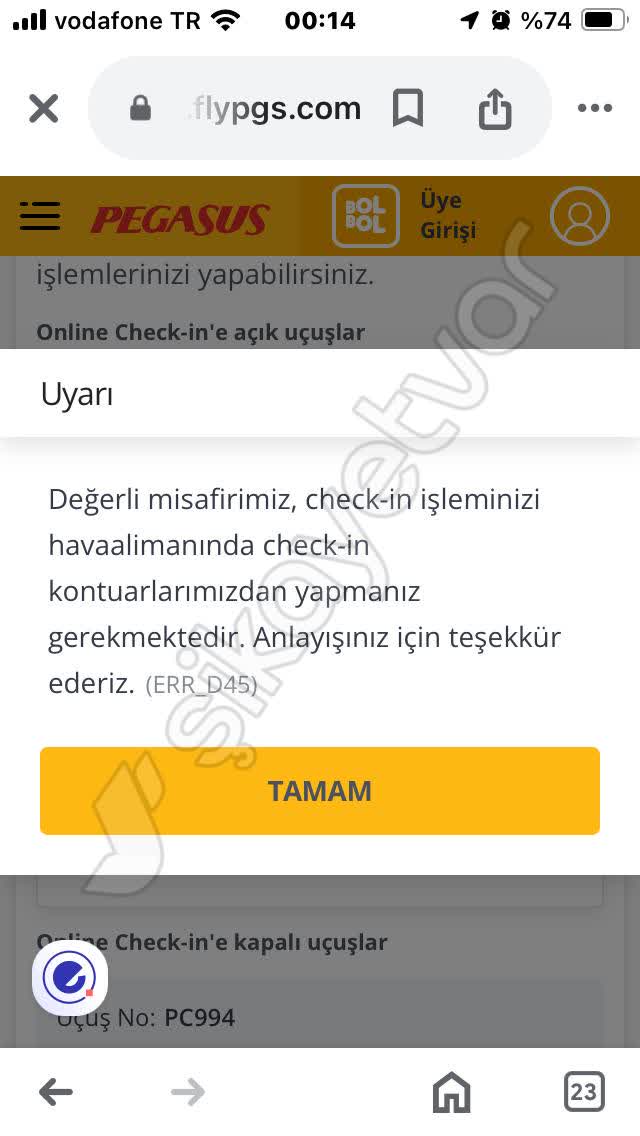 Pegasus Err-d45 Online Check-in - Şikayetvar