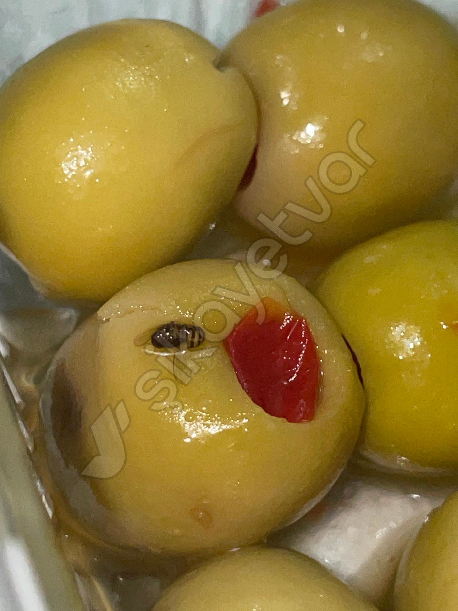 Fikret Sağlam Peynircilik Peynircilik Şubesinde Zeytin Sorunu - Şikayetvar