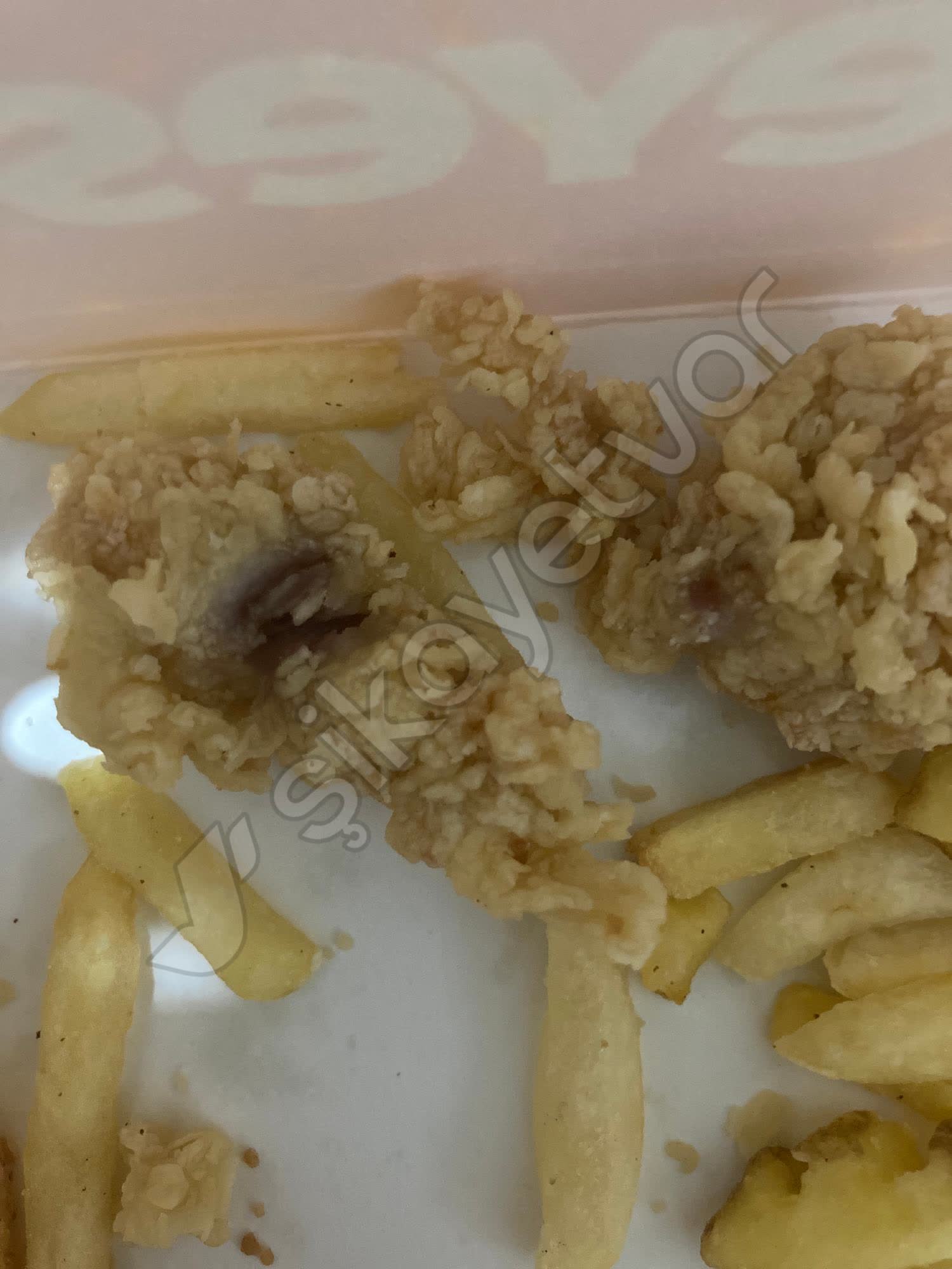 Undercooked Nuggets and Low-Quality Fries in My Popeyes Order - Xolvie