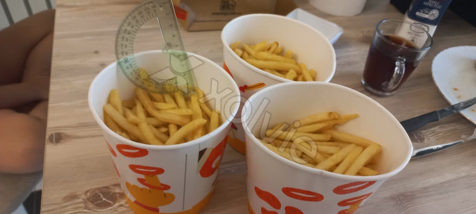 Burger King Served Me Bucket-Sized Fries That Were a Quarter Empty - Xolvie