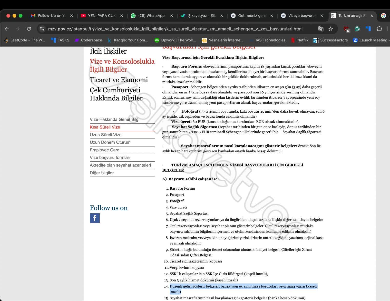 VFS Global Vize Başvurusunda Ekstra Belge Talebi Sorunu - Şikayetvar