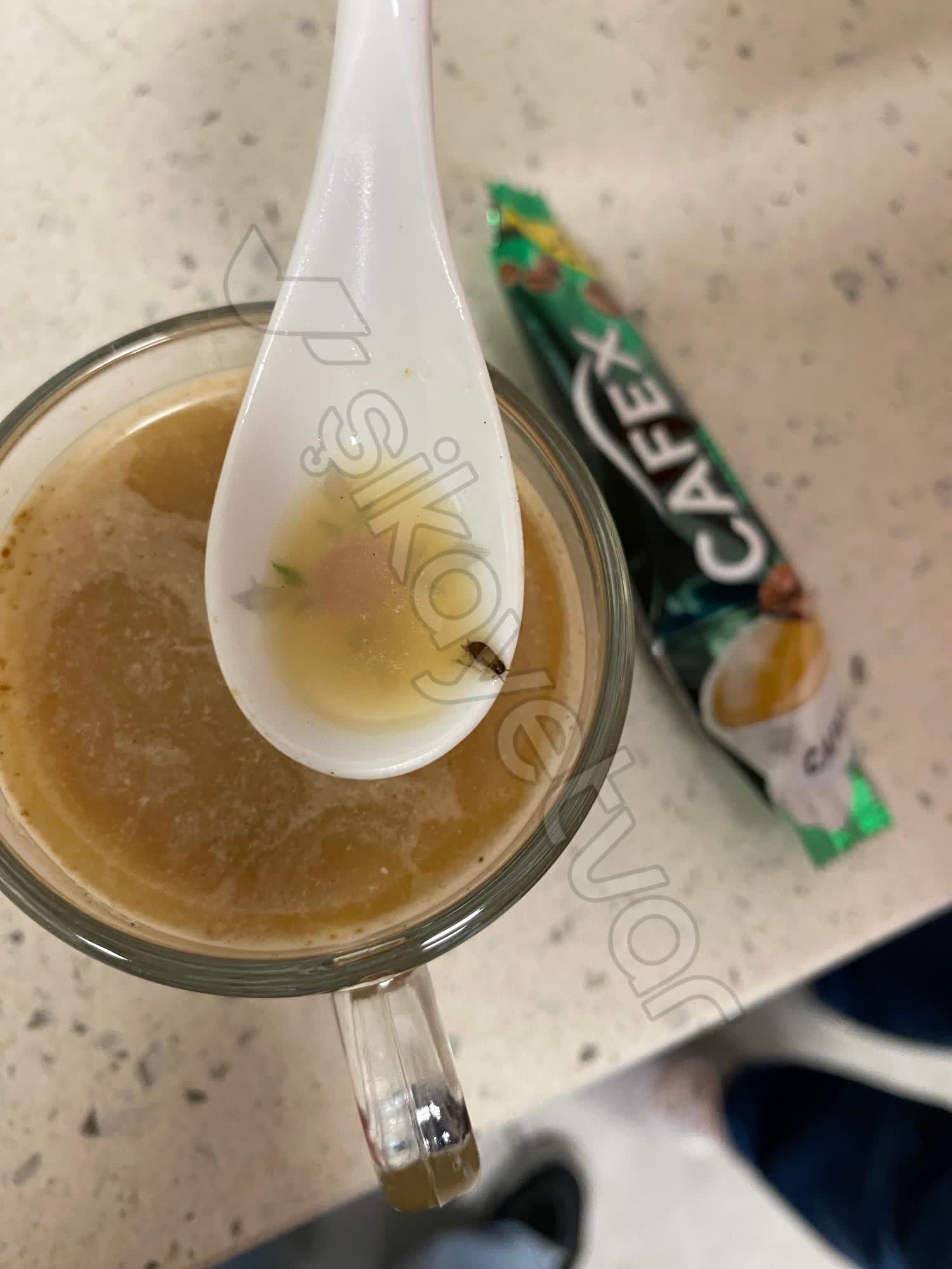 A101 Cafex Kahvede Hijyen Skandalı: Böcek Şoku! - Şikayetvar