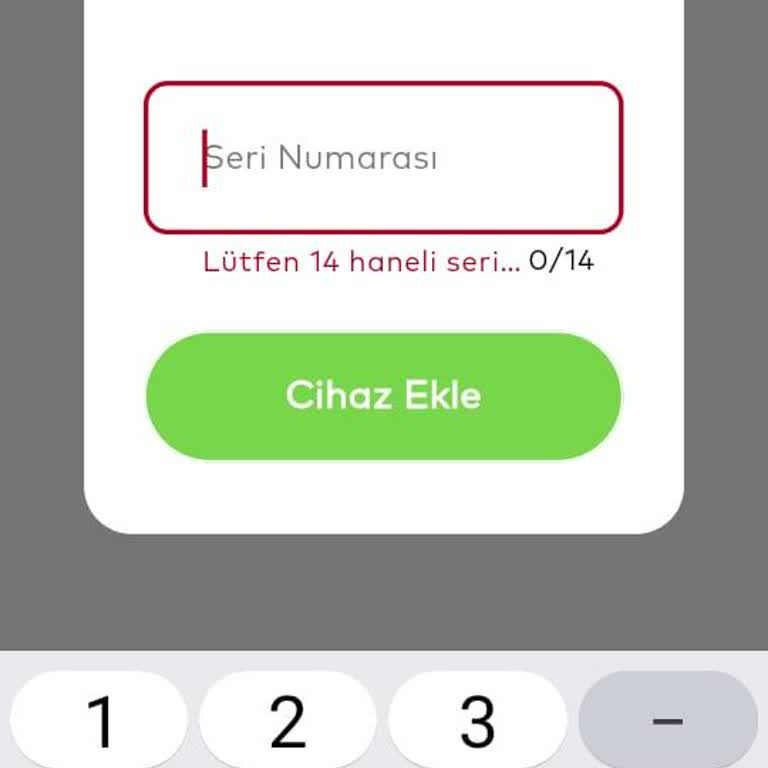 Reeder P13 Blue Max 2022: Seri Numarası Tanınmıyor - Şikayetvar