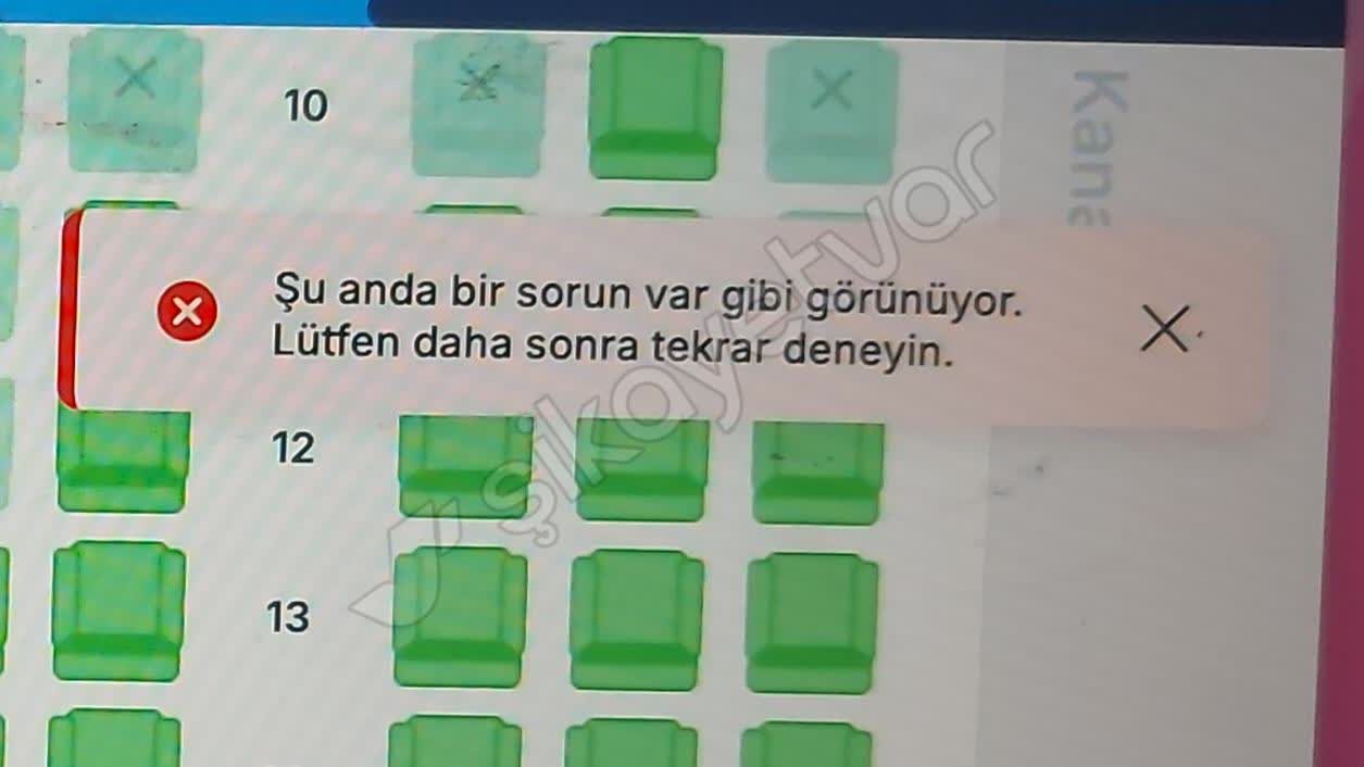 Ajet Online Check-in Sorunu Ve Ekstra Ücret Çilesi - Şikayetvar