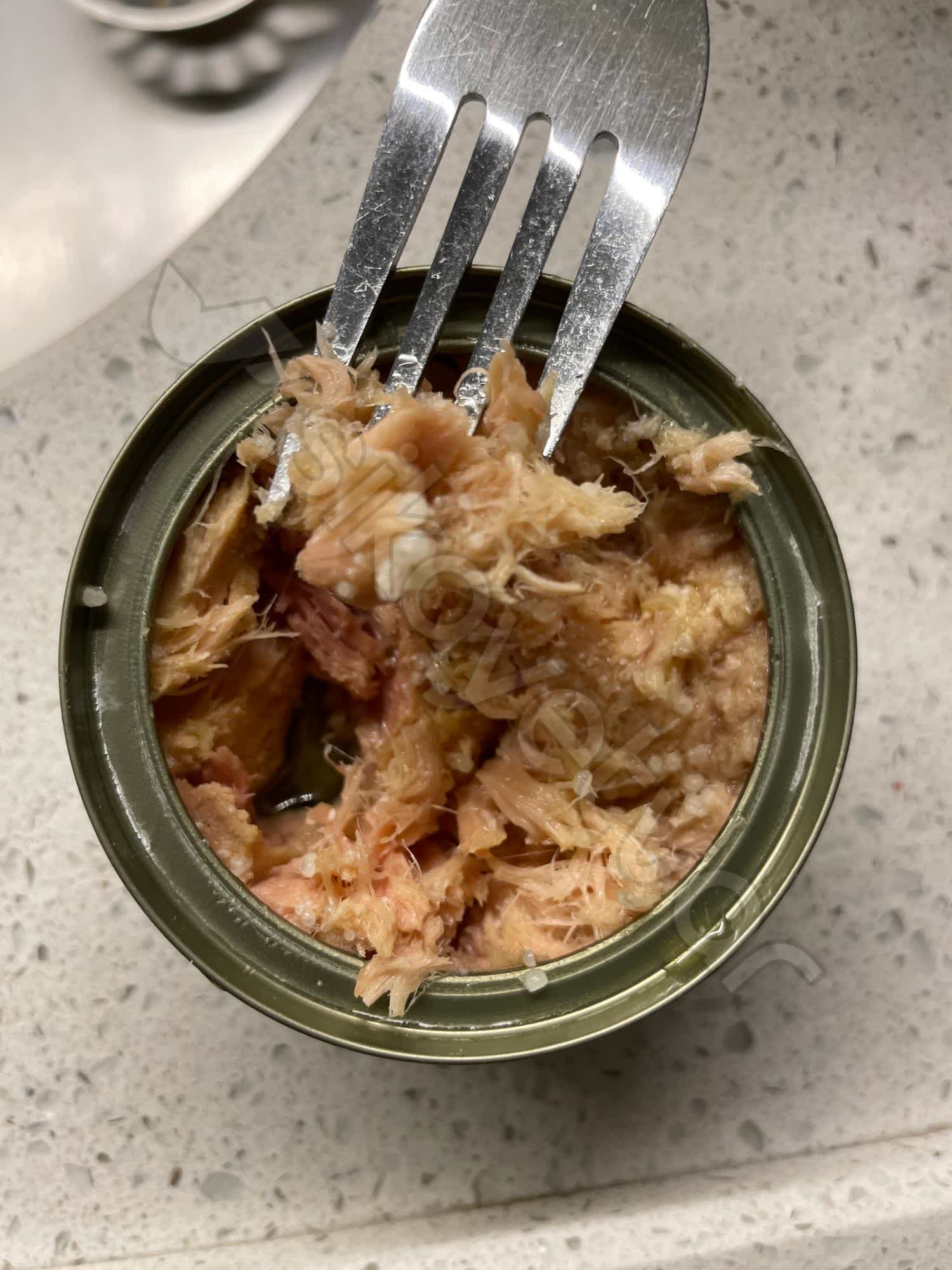 Dardanel Zeytinyağlı Ton Balığında Şaşırtan Sürpriz: Balık Yumurtası ...