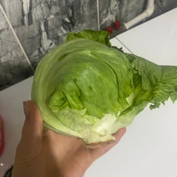 Şok Marketler Atom Marul Fiyatı Ve Fiş Eksikliği - Şikayetvar