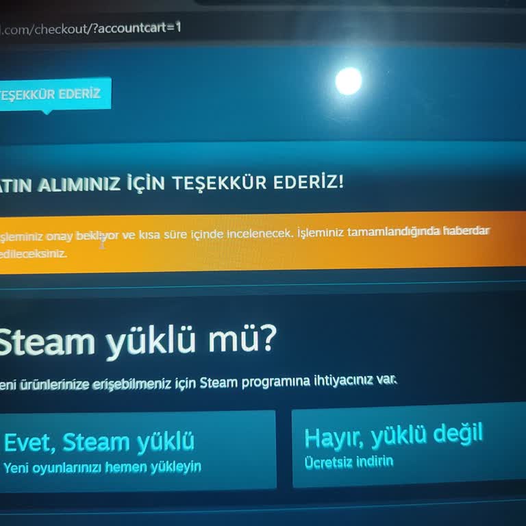 Steam Satın Aldığım Oyun Hata Veriyor, Param Boşa Gitti - Şikayetvar