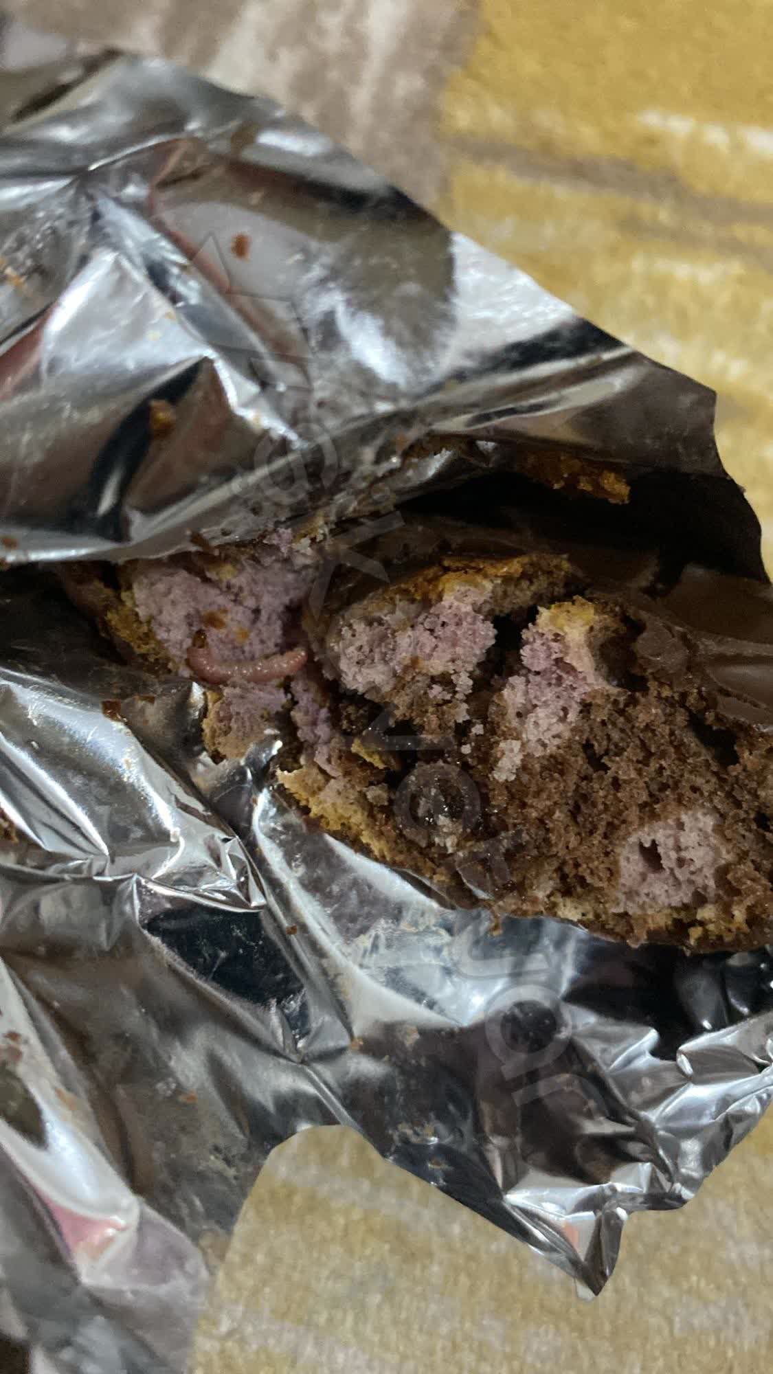 A101 Gala Orman Meyveli Kek'ten Kurt Çıktı - Şikayetvar