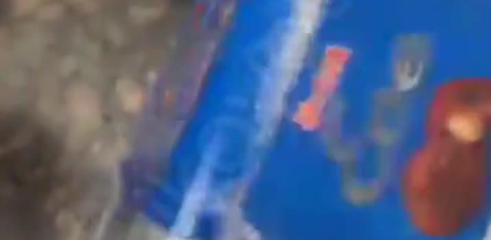 Ülker Ece Çikolata İçinden Kurt Çıktı! - Şikayetvar