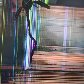 Monster Notebook Screen Cracked Overnight Despite Careful Use - Xolvie