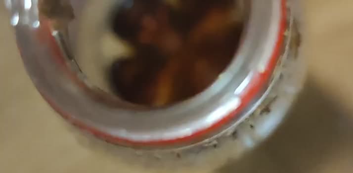 Coca-Cola Şişesinde Böcek Şoku - Şikayetvar