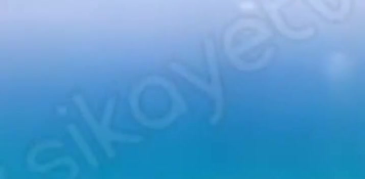 Skytech TV 55" 140 Ekran Sorunu! - Şikayetvar