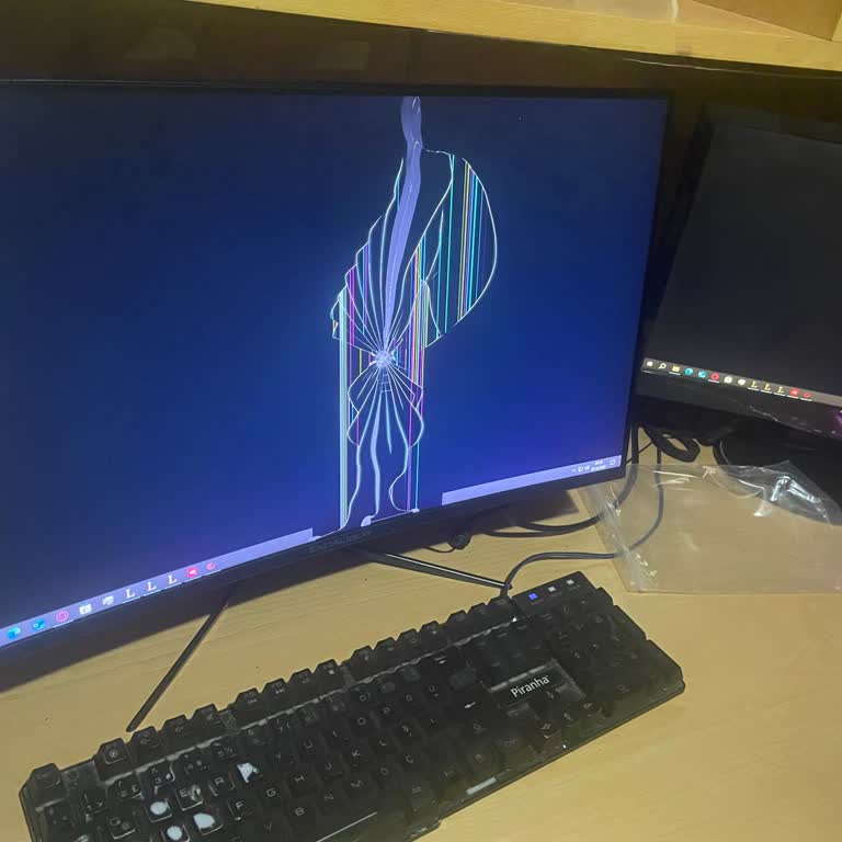 Frustrated with Cheats in Valorant Leading to Monitor Damage - Xolvie