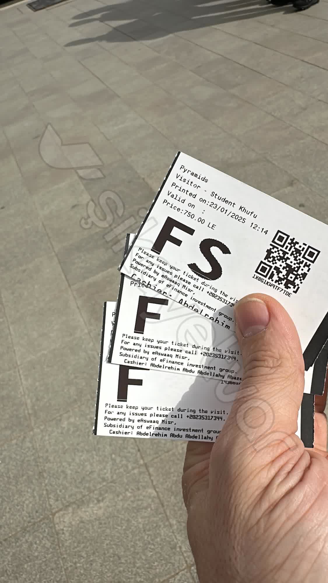 Talya Tur Mısır Turunda Rehber Ve Organizasyon Sorunları - Şikayetvar