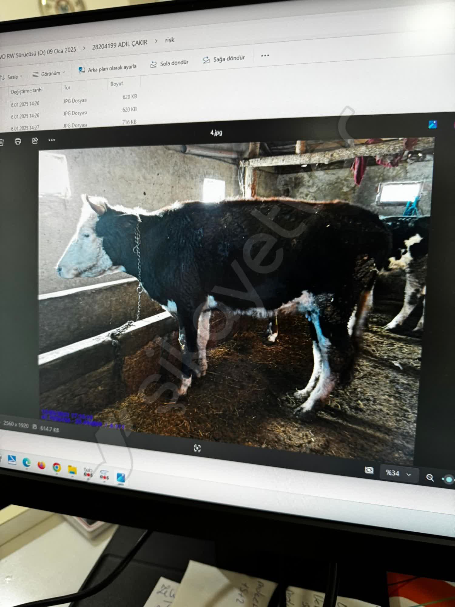 TARSİM Sigorta Eksperinin Hatalı Fotoğraf Çekimi Mağduriyet Yaratıyor ...