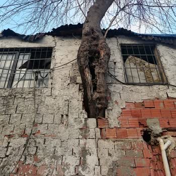 Çevre, Şehircilik ve İklim Değişikliği Bakanlığı Kullanıcı Şikayet ...