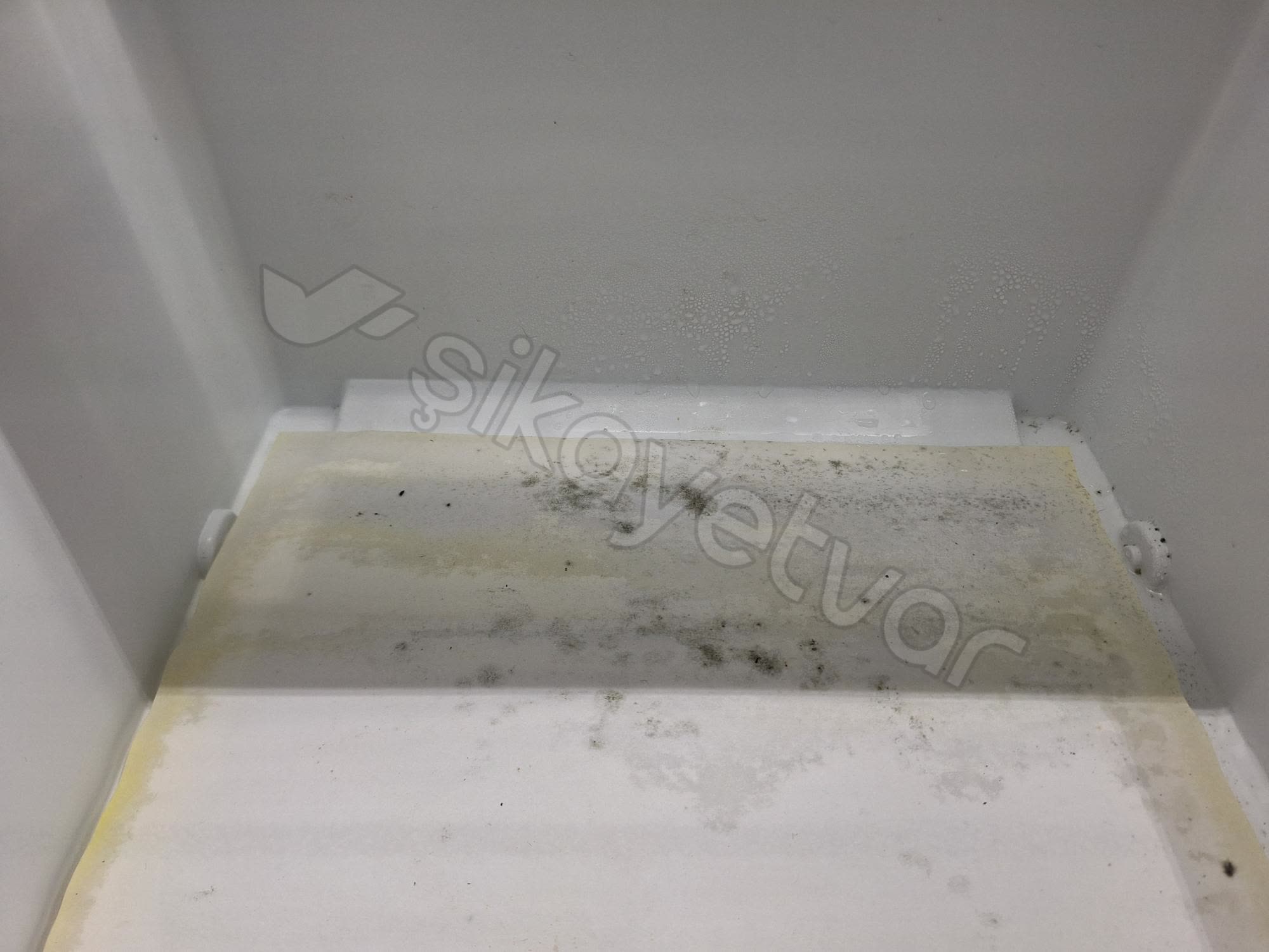 Bosch Refrigerator Causes Water Buildup and Mold in Vegetable Drawer ...
