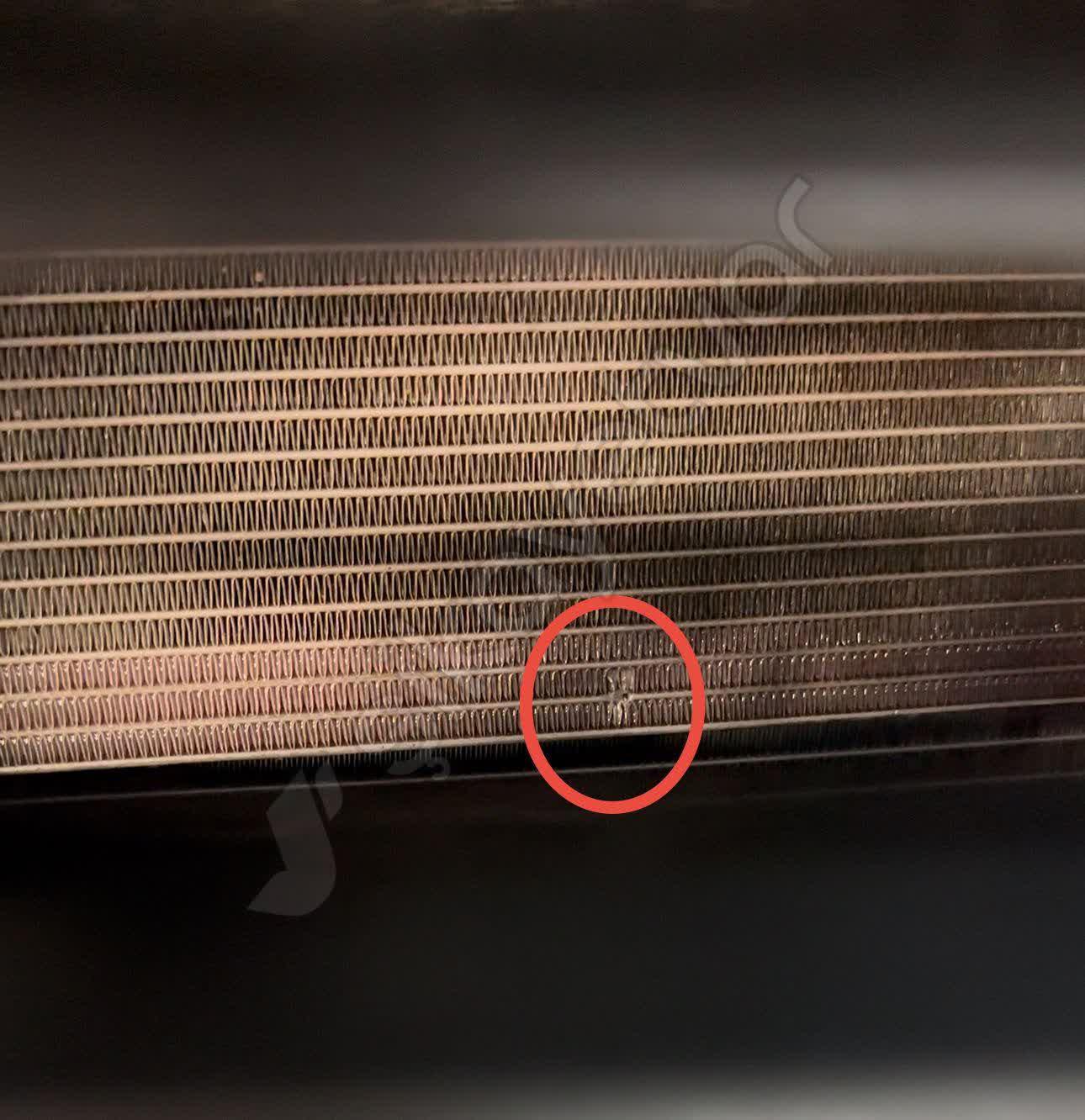 BYD Auto BYD Dolphin Had Issues from Day One – Now They Want Me to Pay ...