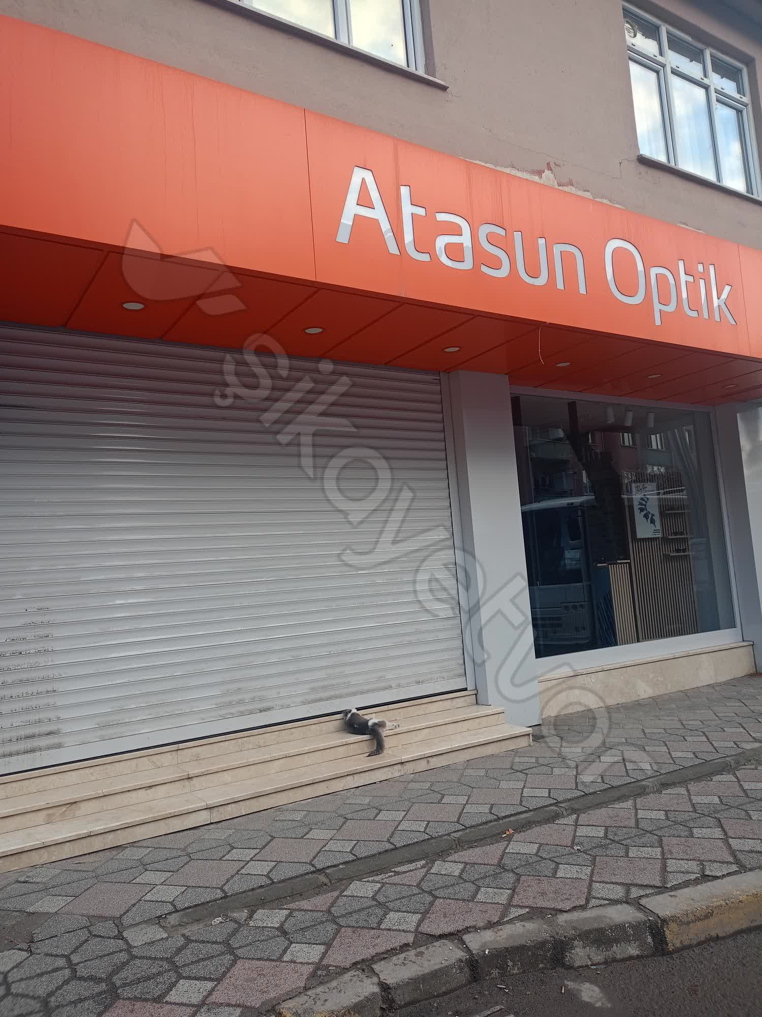 Atasun Optik Otomatik Kapıda Sıkışan Kediye Eziyet - Şikayetvar