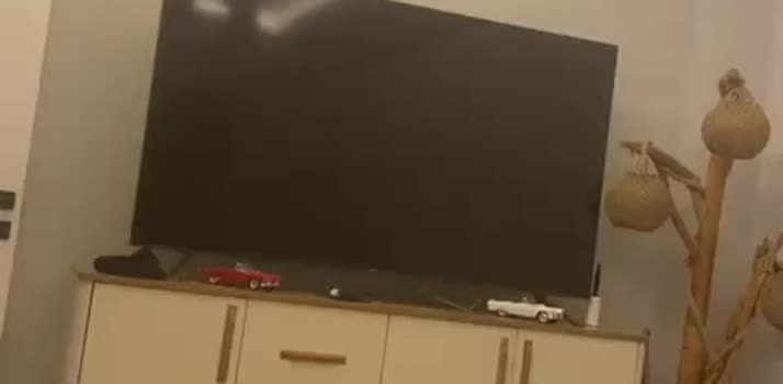 Samsung 4K Ultra HD TV Panel Failed in 1.5 Months - Xolvie
