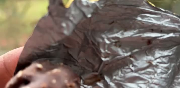 Ferrero Rocher Had a Worm Inside – No Response from Customer Service ...