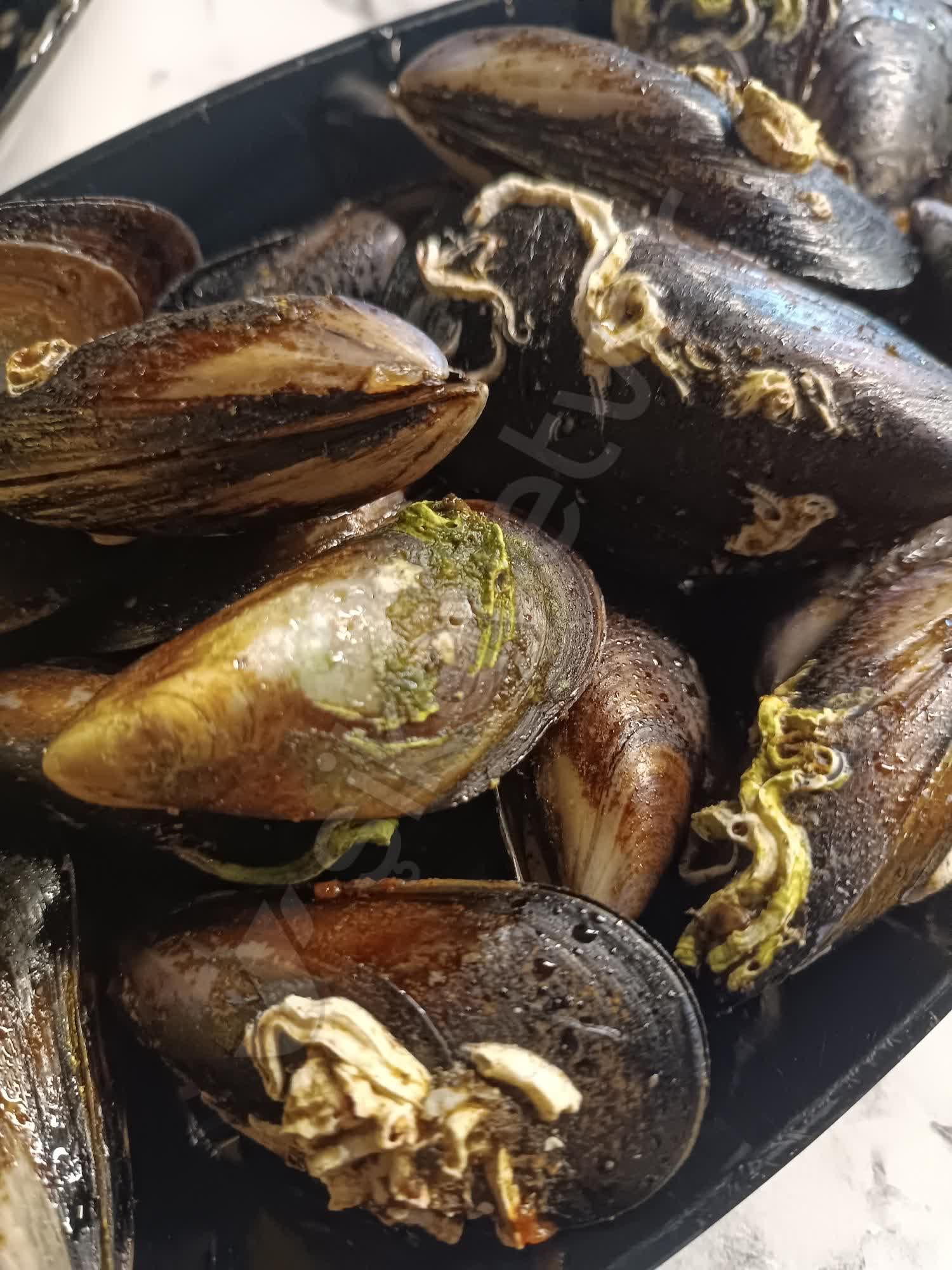 Midyeci Yasin Bandırma Şubesinde Kalite Düşüşü Ve Hijyen Sorunu ...