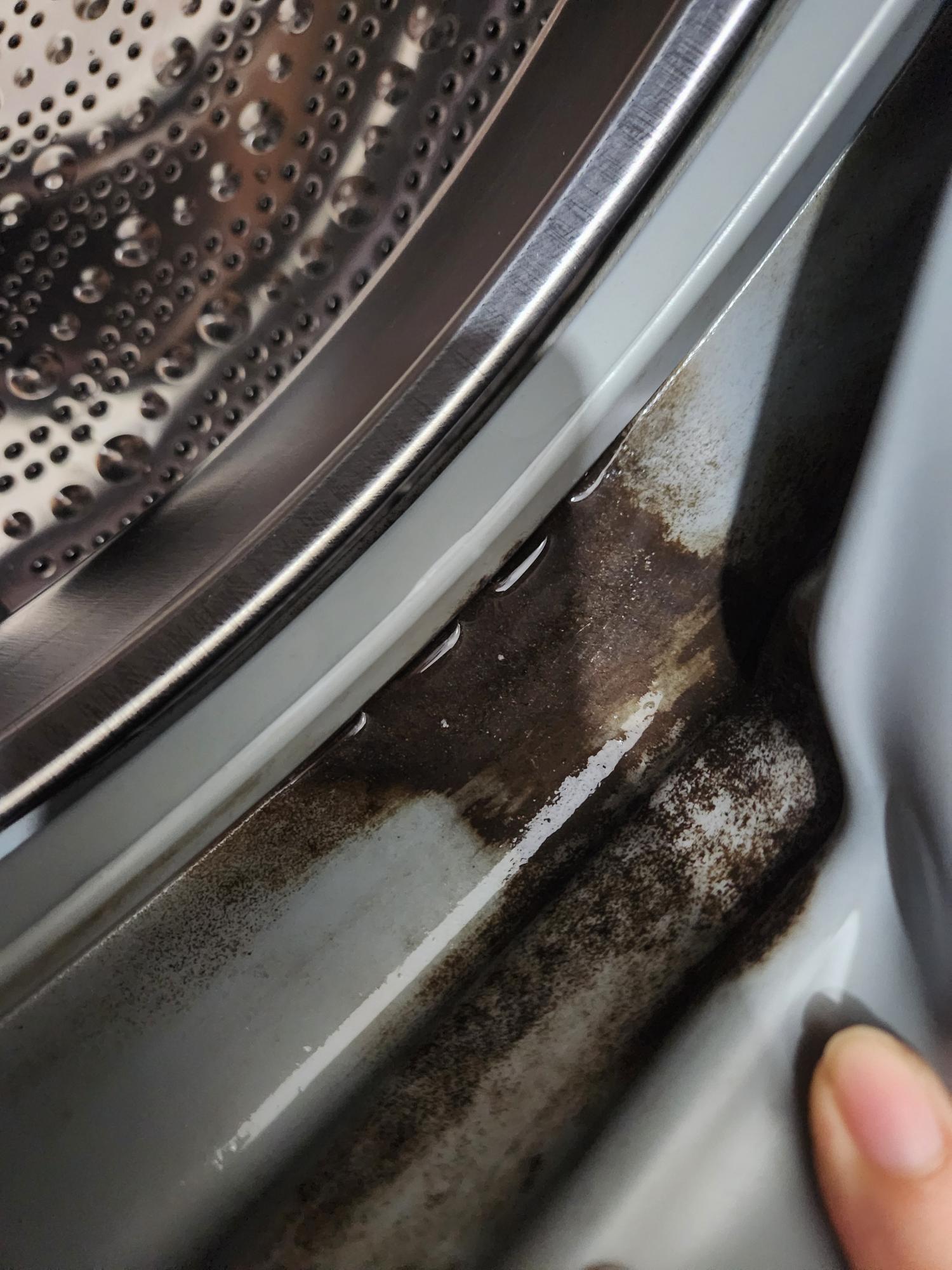 Marc Washing Machine Cleaner Did Nothing—Waste of Time and Money - Xolvie
