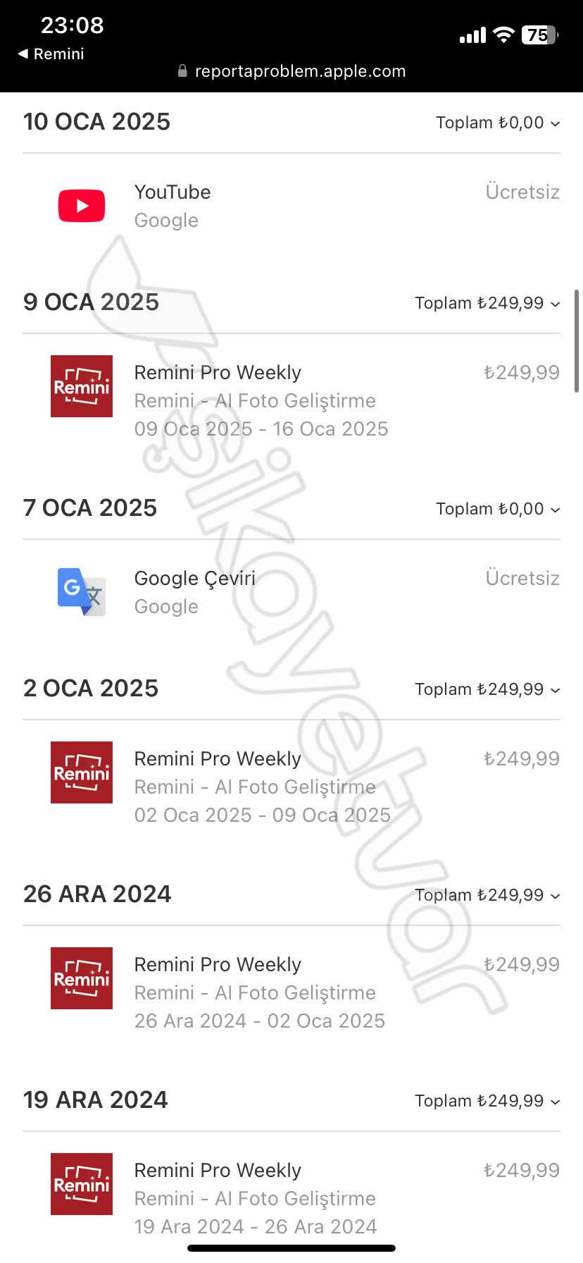 Remini Unauthorized Charges – Money Taken Without Subscription - Xolvie