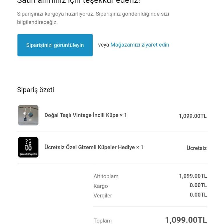 Silver Wanderlust - Şikayetvar