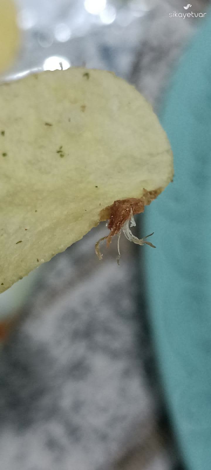 BİM BİM Market'ten Alınan Cips Paketinde Böcek Şoku! - Şikayetvar