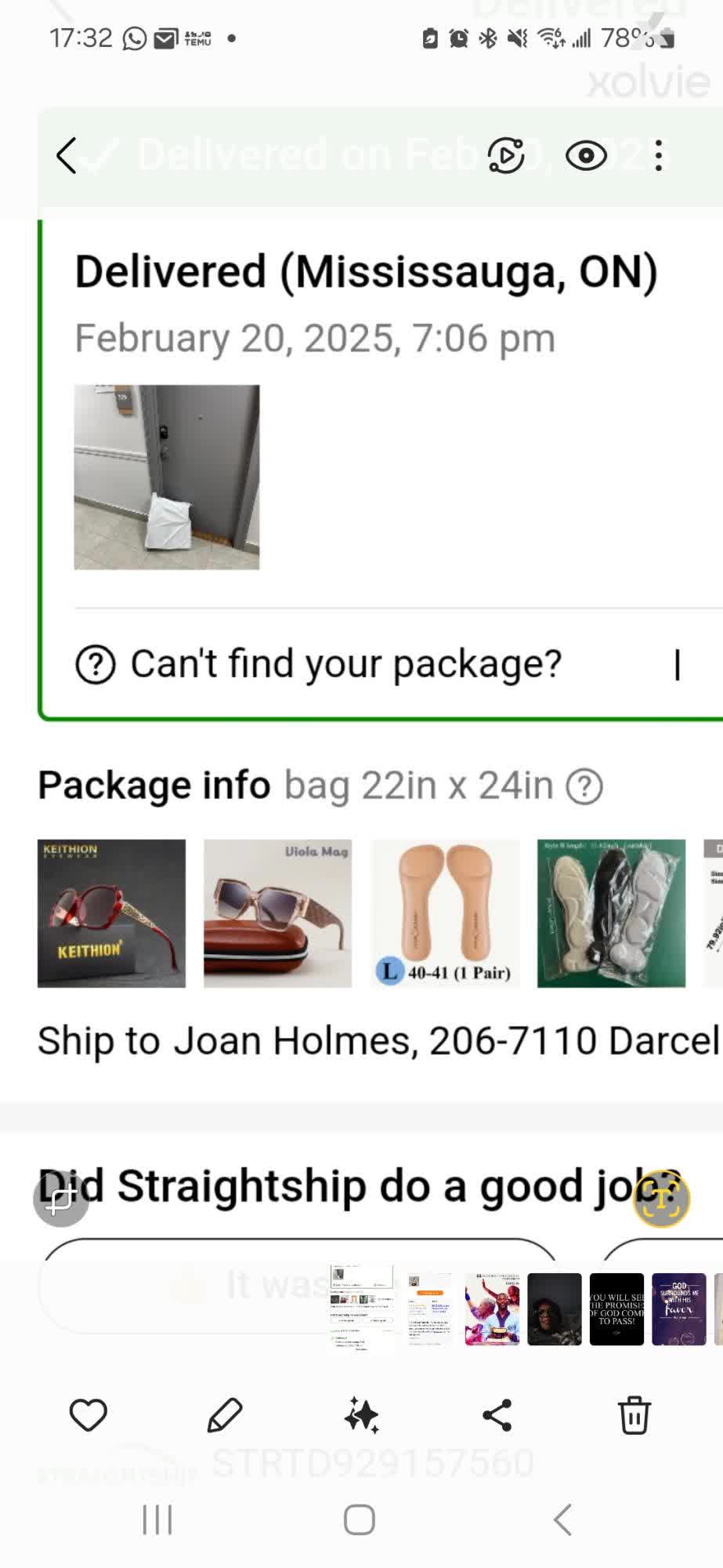 Temu Missing Order - Xolvie