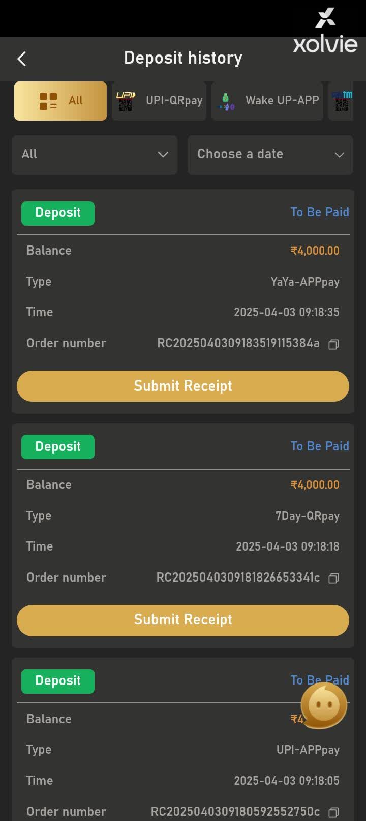 BDG My BDG Deposit Delayed 24 Hours, Need Help Now - Xolvie