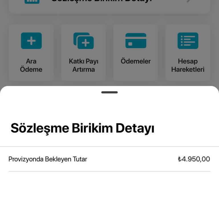 Türkiye Hayat Emeklilik Blokaj Süresi Bilgilendirilmedi: Param Boşta ...
