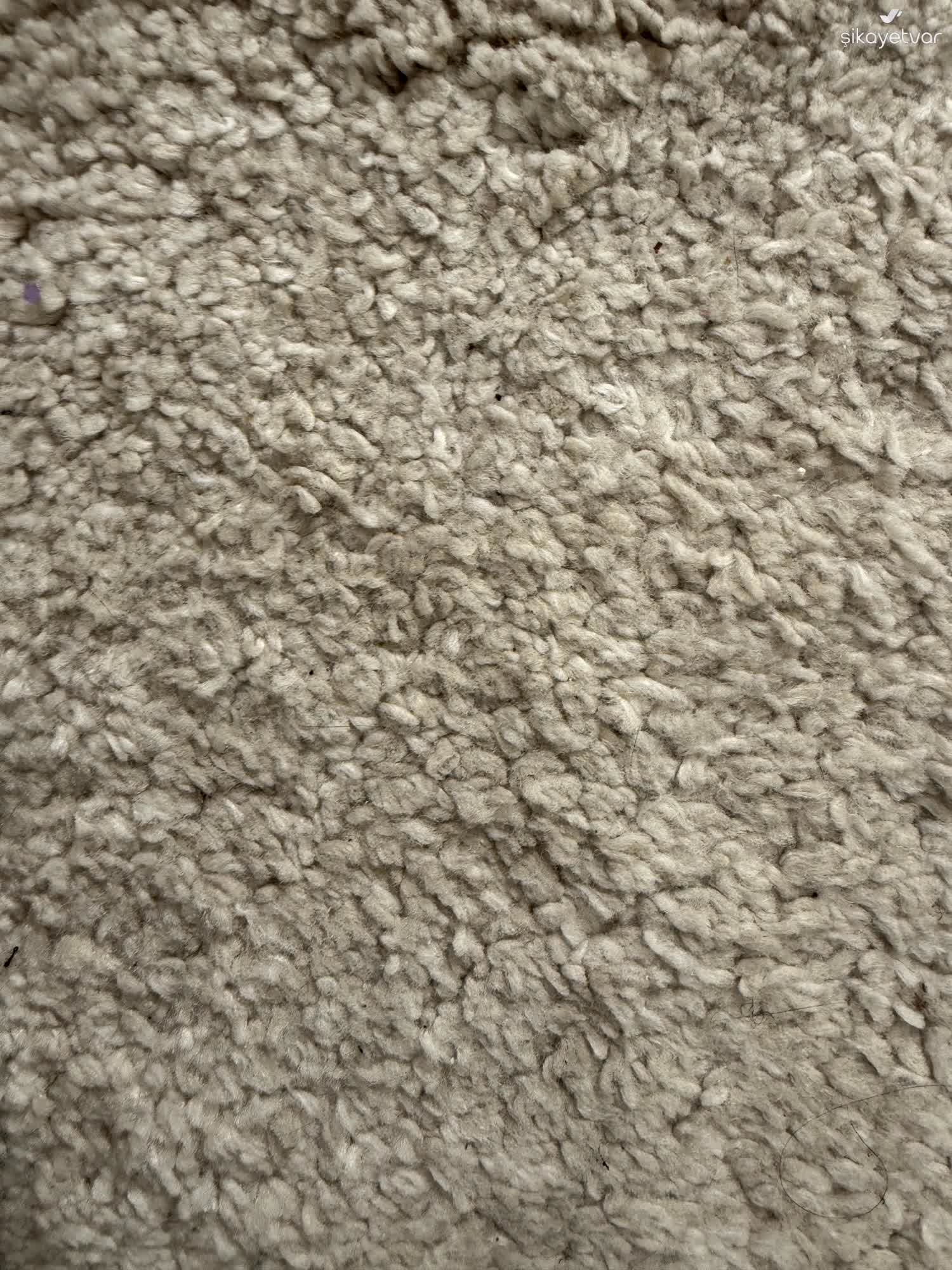 IKEA Stoense Halı: Bir Yıl İçinde Keçeye Dönüşen Ürün - Şikayetvar