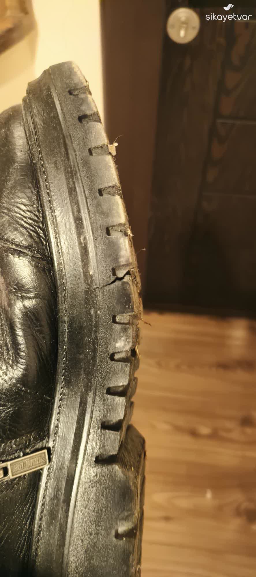 Harley-Davidson Bot Harley Davidson Botun Tabanı Ortadan Kırıldı ...
