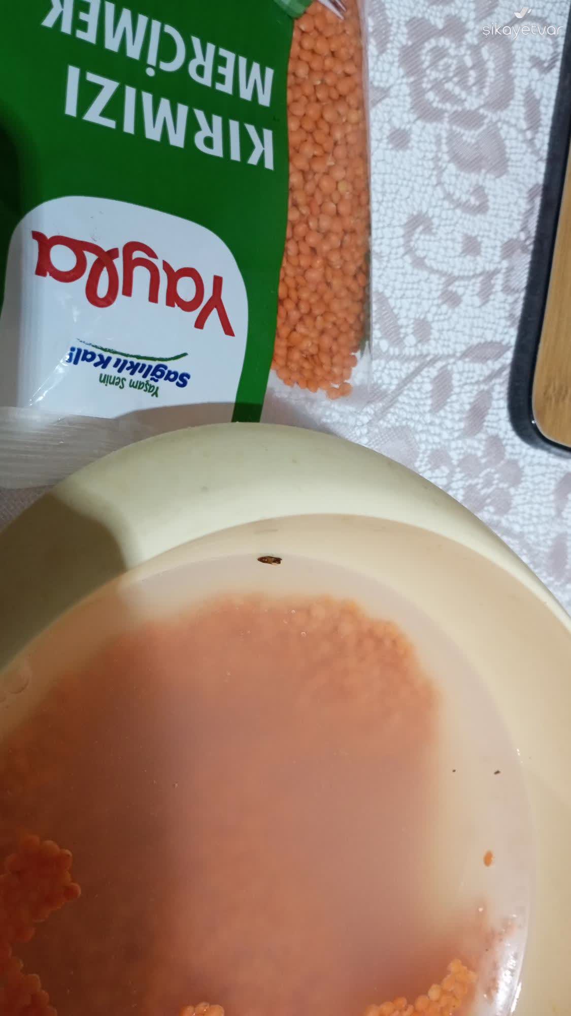 Çözüldü: Yayla Bakliyat Kurtlu Mercimek Skandalı: Sağlığımız Tehlikede ...