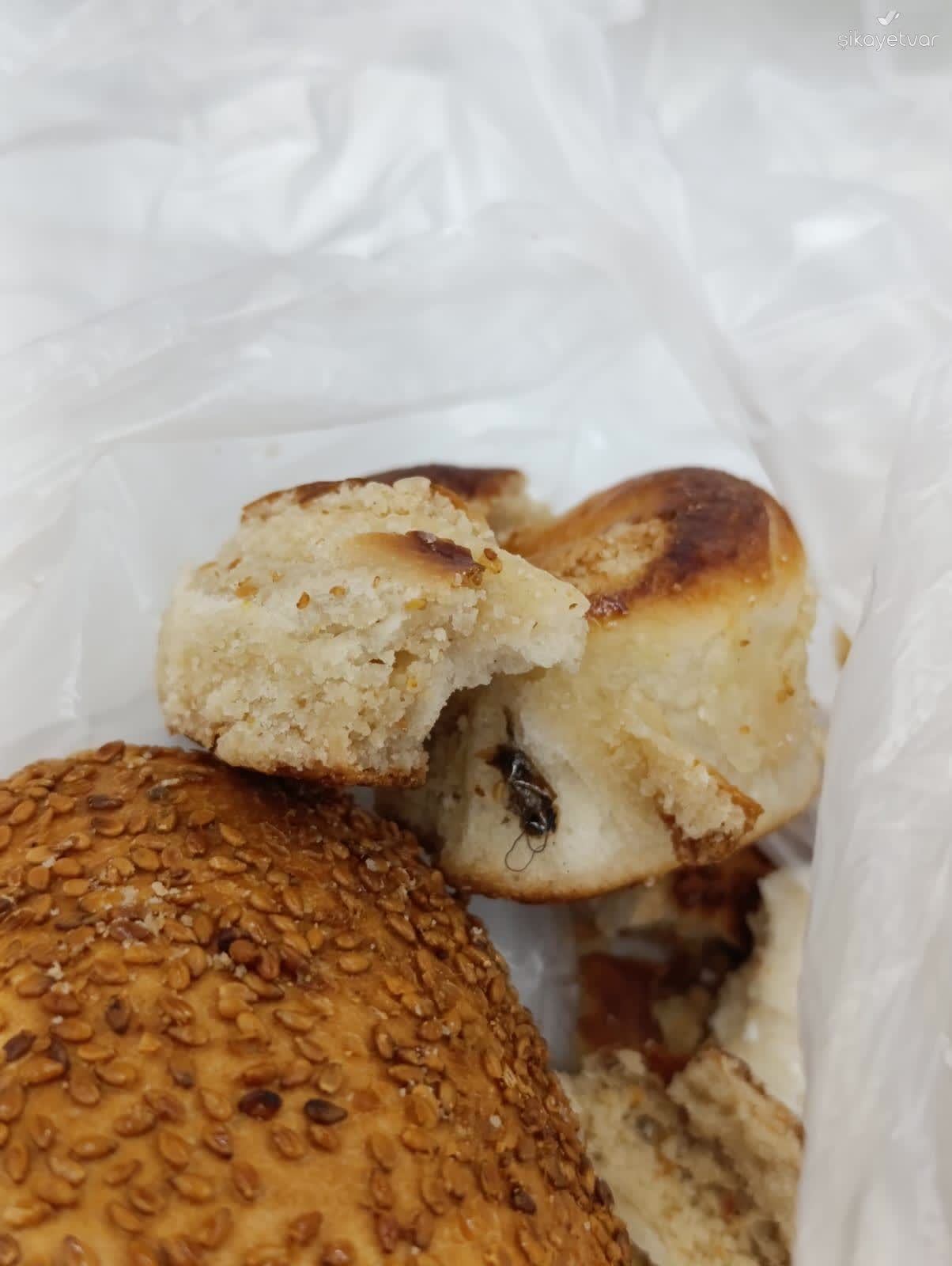 Anpa Gross Market Tahinli Simitte Şok: Hamam Böceği Çıktı - Şikayetvar