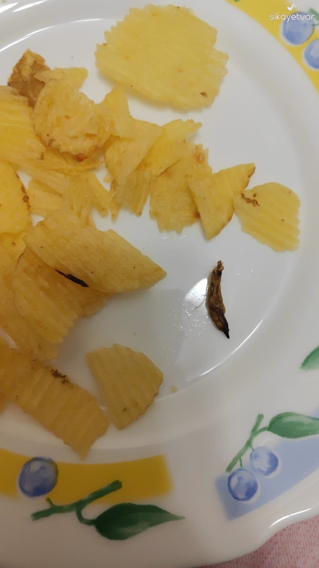 Ruffles Cips Paketinden Çıkan Böcek Şoku - Şikayetvar