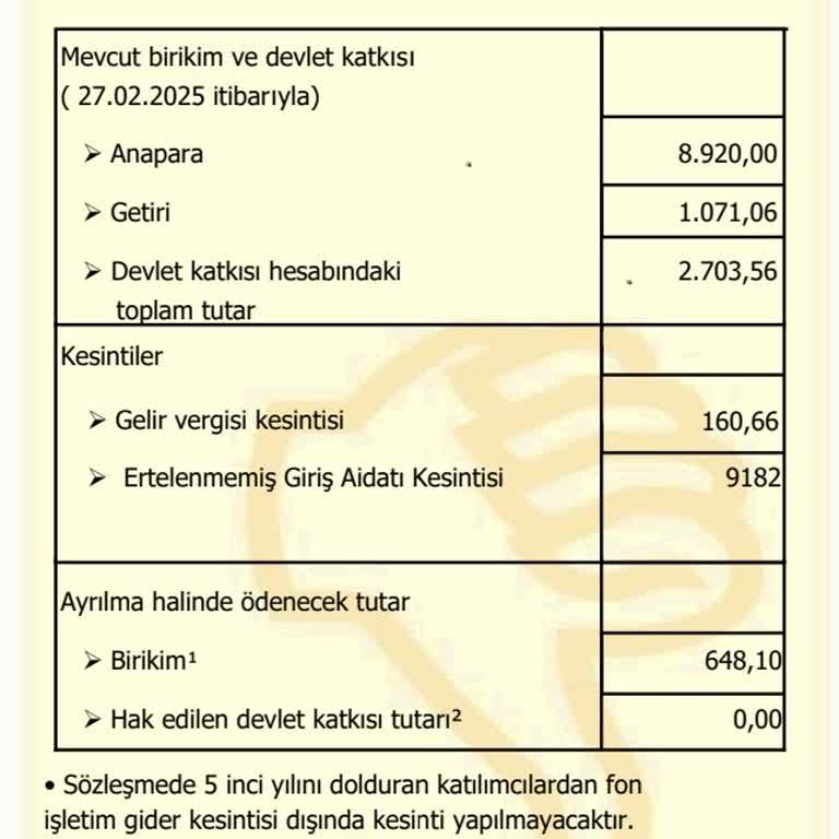 Katılım Emeklilik BES Çıkışında Ana Para Kaybı Ve Yetersiz ...